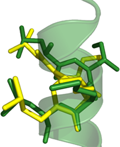 PRISM BioLab - PepMetics® Technology, Drug Discovery Platform