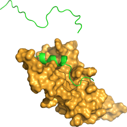 PRISM BioLab - PepMetics® Technology, Drug Discovery Platform