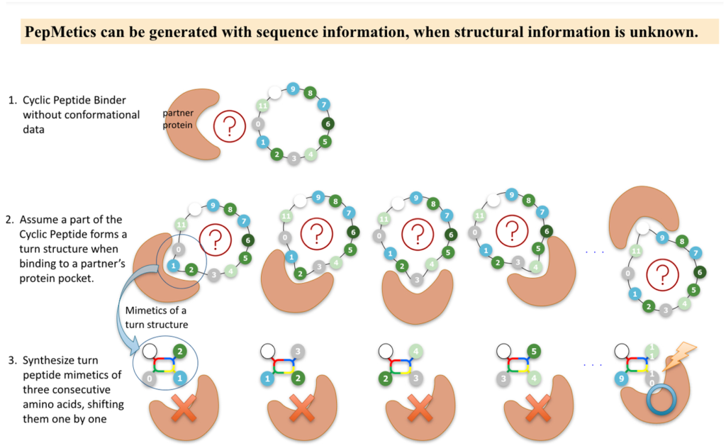 Sequence Mimetics: Cyclic & Stapled Peptides - PRISM BioLab