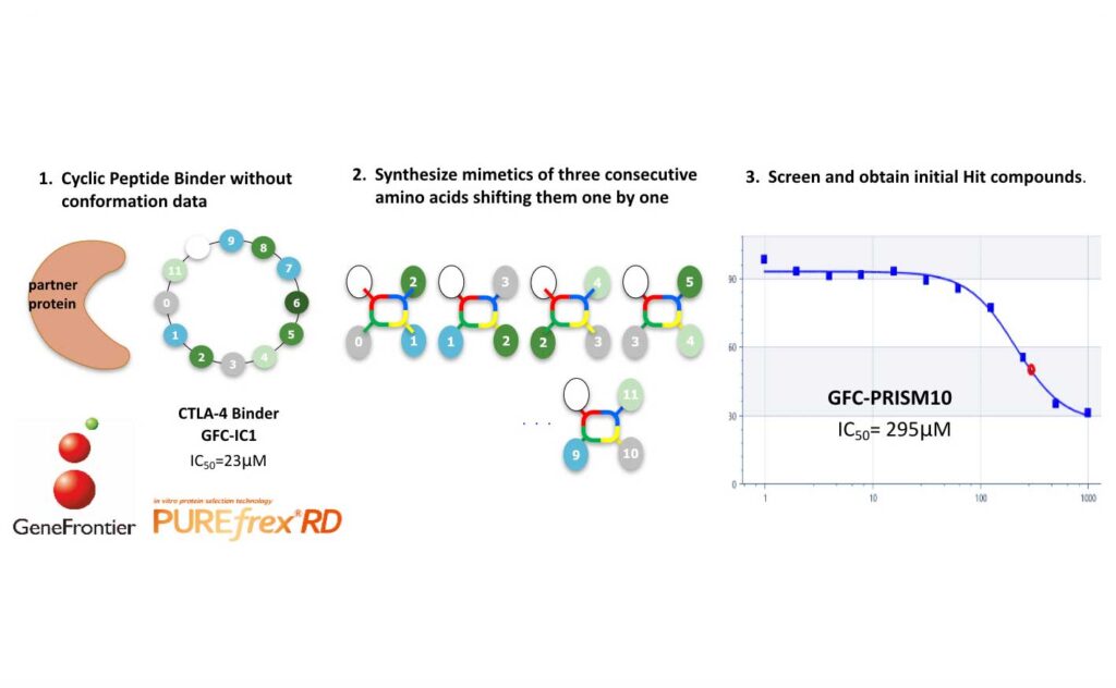 Sequence Mimetics: Cyclic & Stapled Peptides - PRISM BioLab