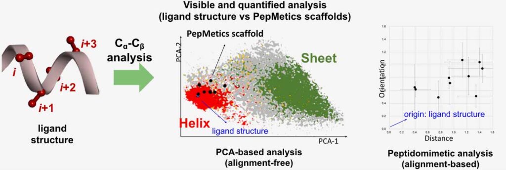 Peptide Mimetics - PRISM BioLab